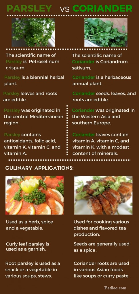 Difference Between Parsley and Coriander