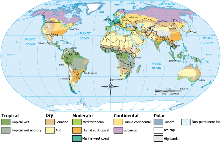 what-are-the-different-types-of-maps