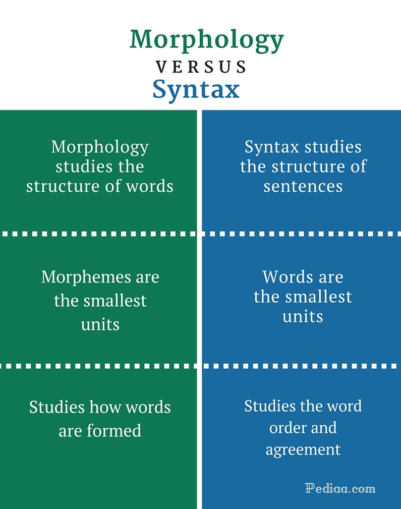 Difference Between Morphology And Syntax Learn English Grammar Online