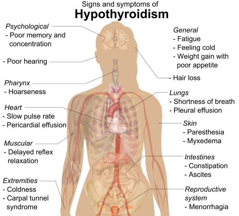 Difference Between Hypothyroidism And Hyperthyroidism Causes Signs 