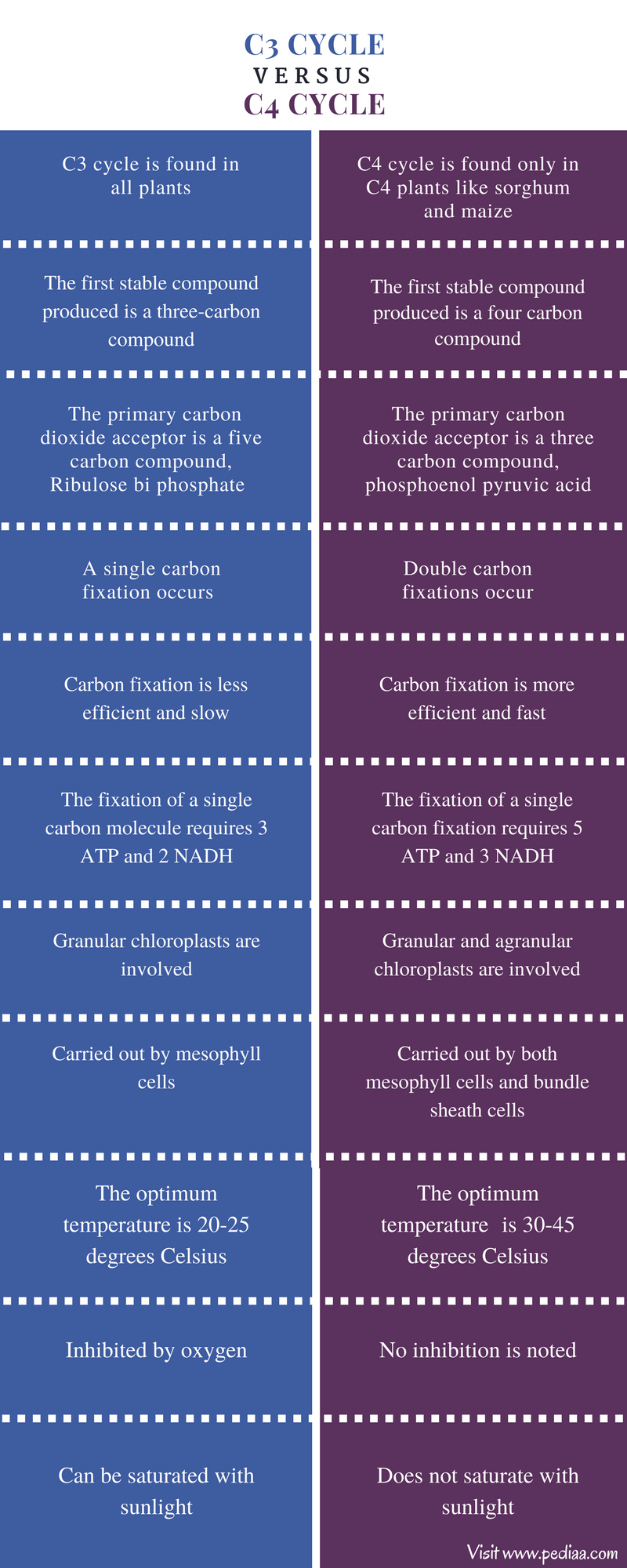 Difference Between C3 And C4 Cycle Characteristics Process Function