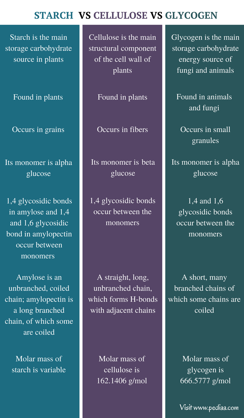 Difference Between Starch Cellulose And Glycogen Structure 