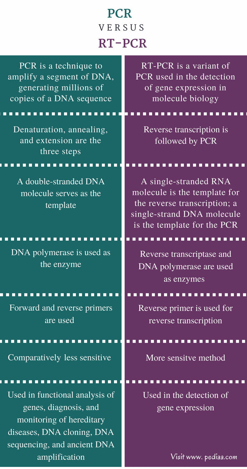 Difference Between PCR And RT PCR Definition Process Application Difference Between PCR And RT PCR Definition Process Application