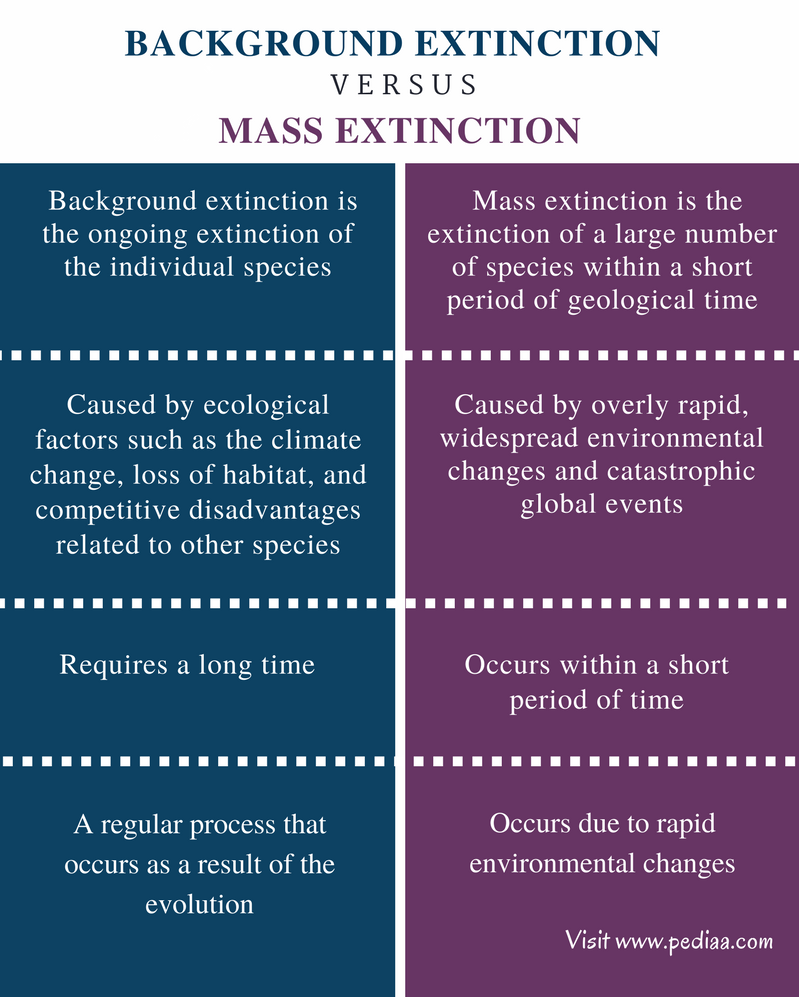 What Is The Difference Between Background Extinction And Mass Extinction Definition Five Mass 
