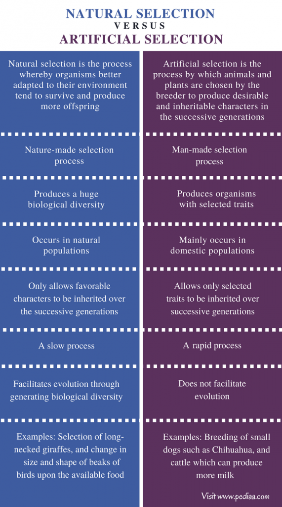 Difference Between Natural And Artificial Selection Pediaa Com Difference Between Natural And Artificial Selection Pediaa Com