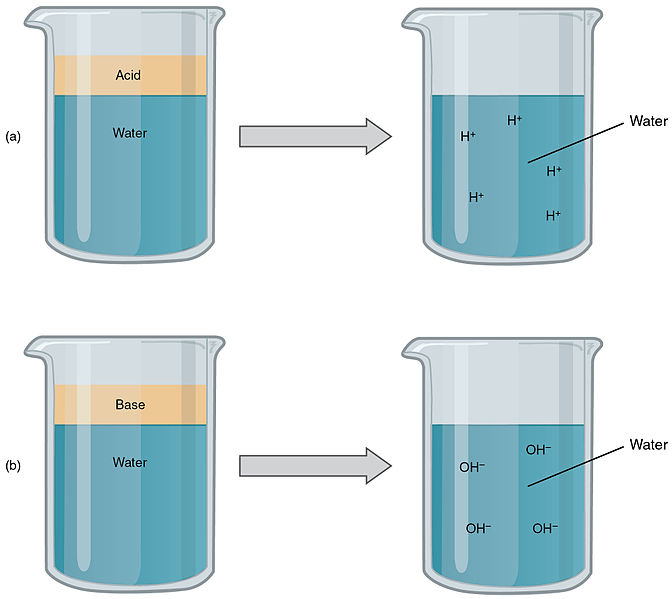 Difference Between Strong And Weak Electrolytes Definition 