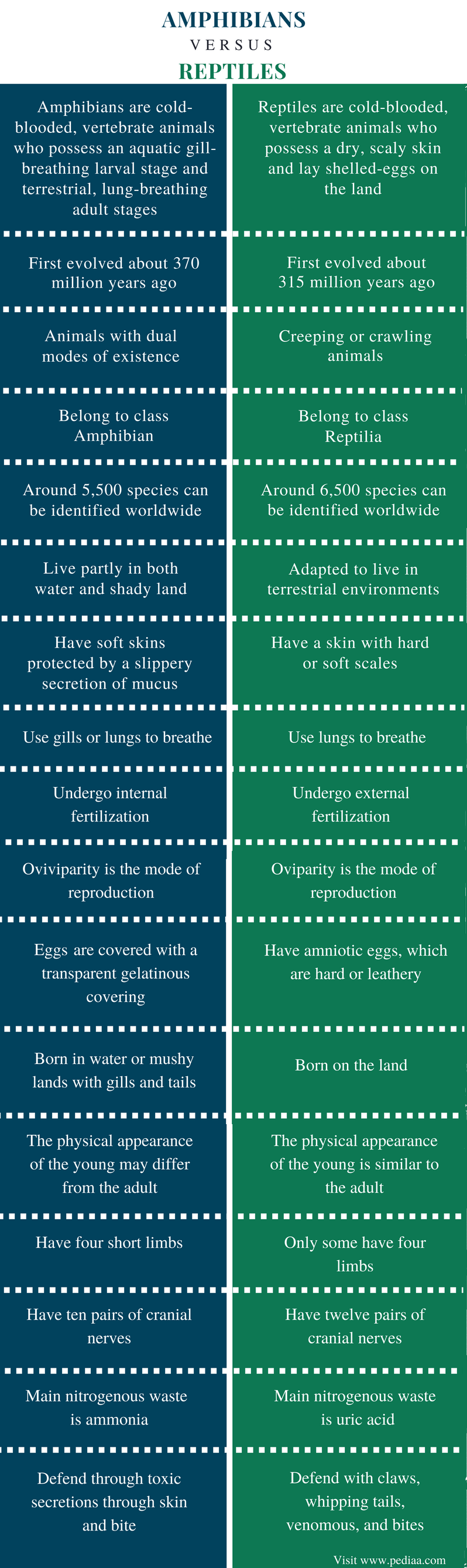 Difference Between Amphibians And Reptiles Definition Facts 