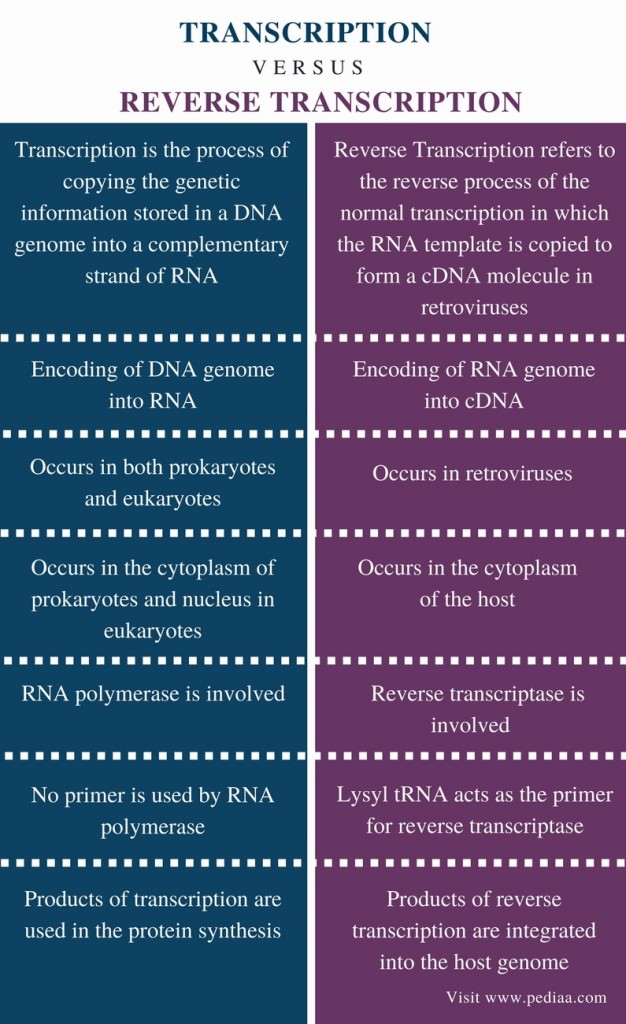 Difference Between Transcription And Reverse Transcription Pediaa Com