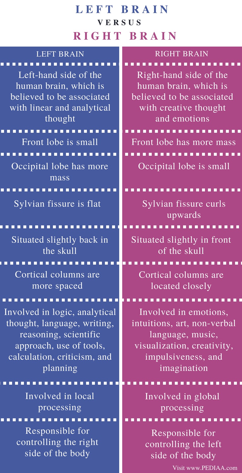 Difference Between Left And Right Brain Pediaa Com