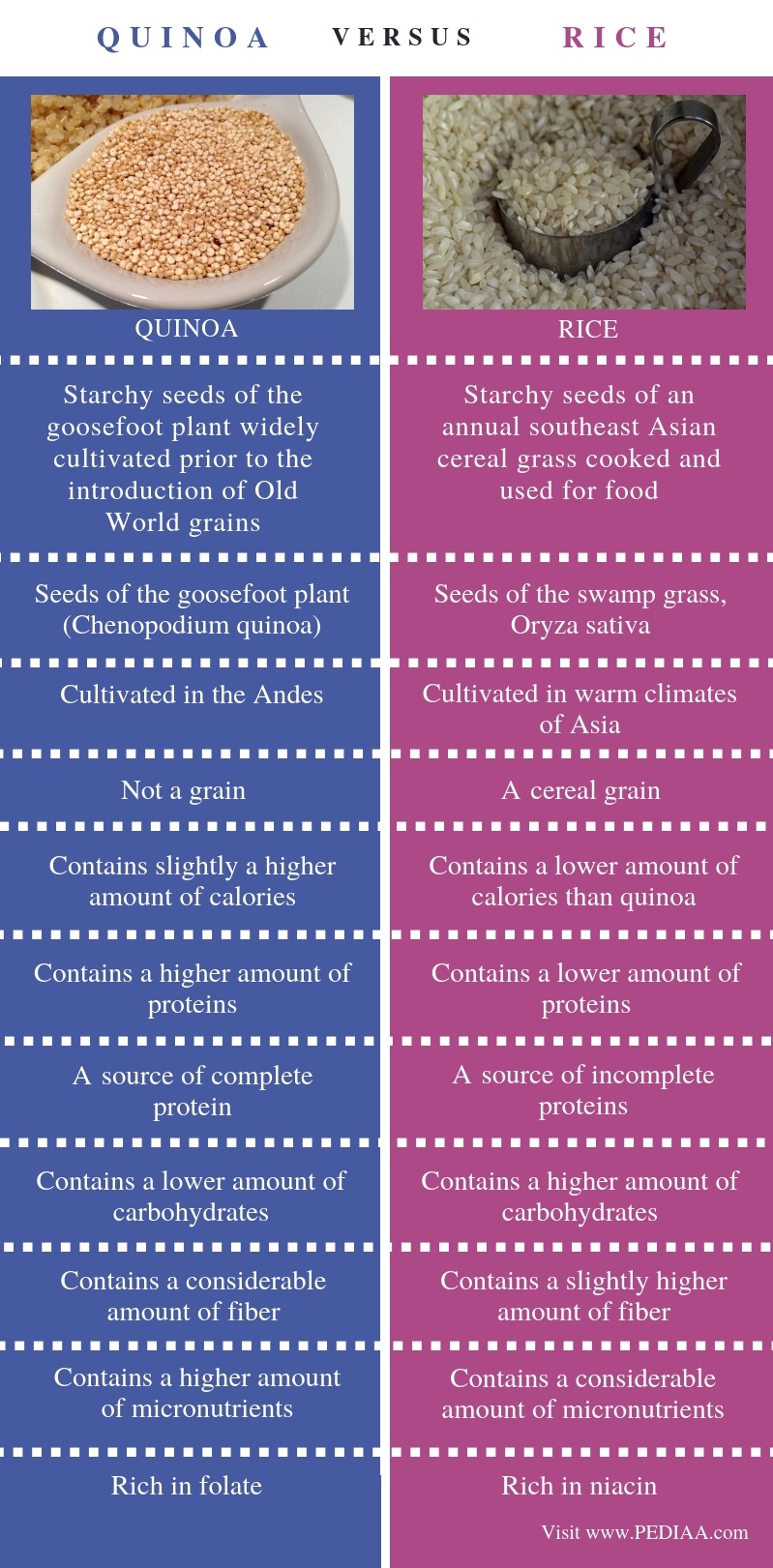 What Is The Difference Between Quinoa And Rice Pediaa Com What Is The Difference Between Quinoa And Rice Pediaa Com