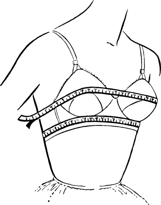 How To Take Measurements For Women