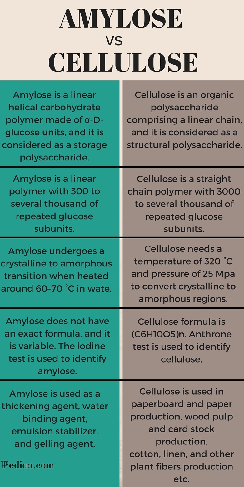 Difference Between Amylose and Cellulose
