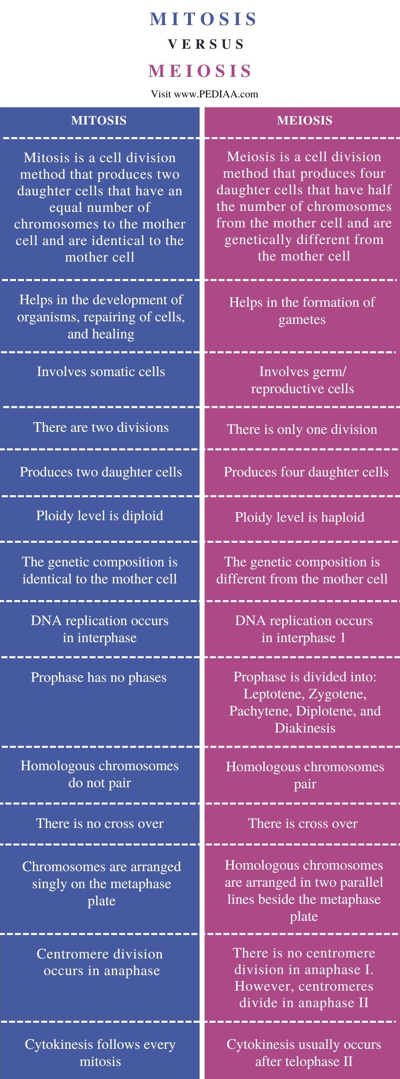 Difference Between Mitosis And Meiosis