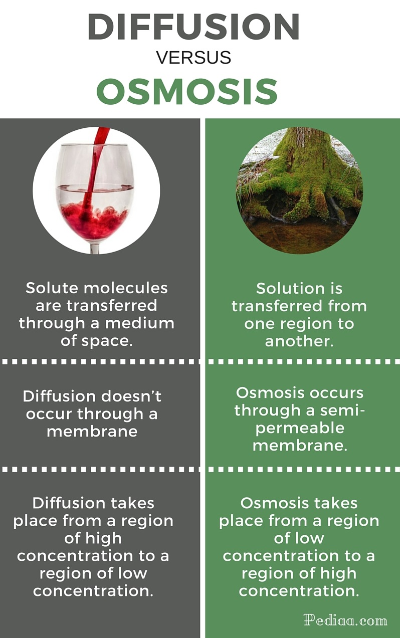 Difference Between Diffusion and Osmosis Difference Between Diffusion and Osmosis