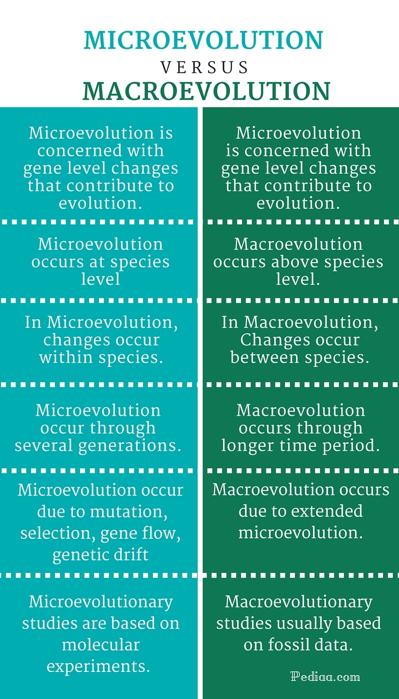 Difference Between Microevolution And Macroevolution