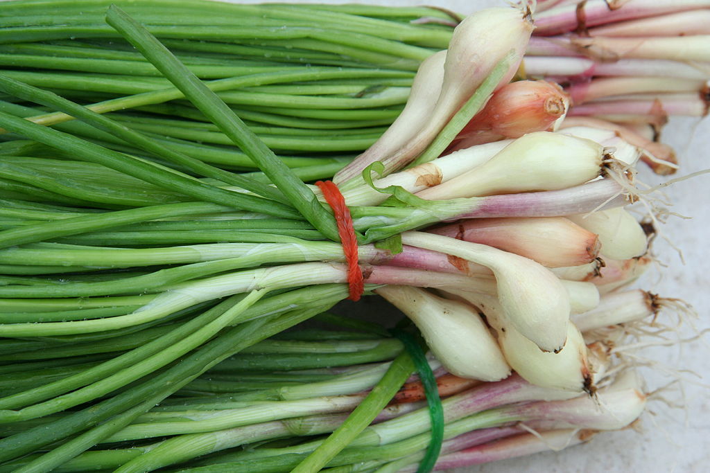 Difference Between Scallions and Green Onions