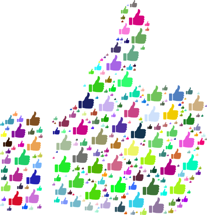 Difference Between Assent and Ascent