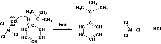 Difference Between Alkylation and Acylation