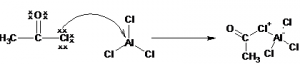 Difference Between Alkylation and Acylation