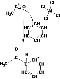Difference Between Alkylation and Acylation