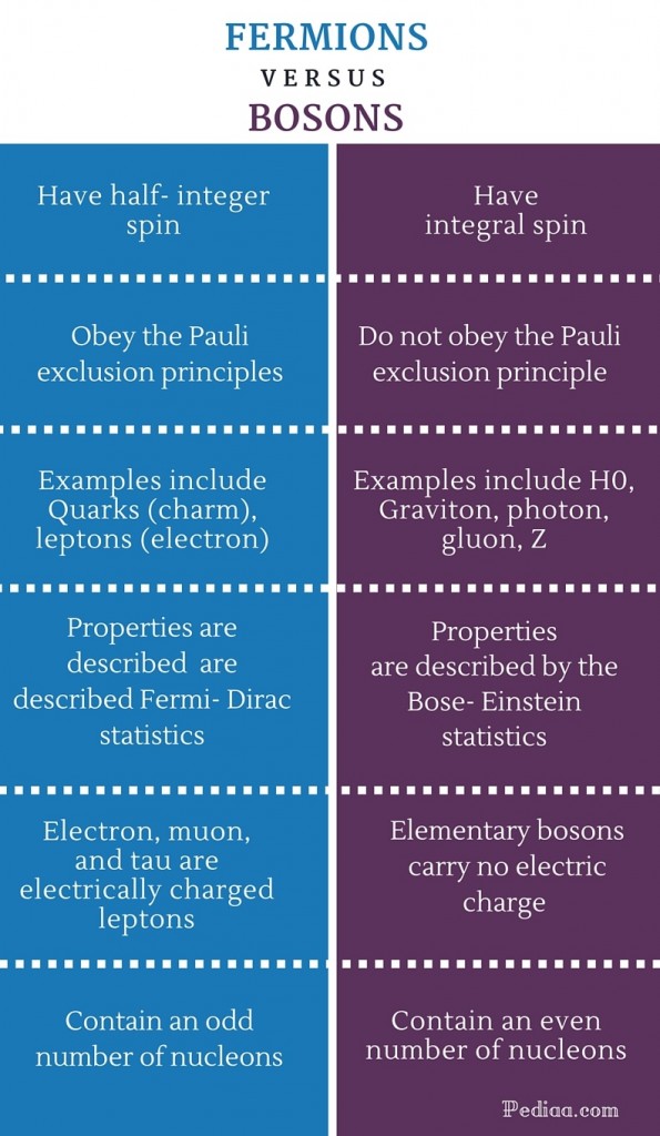 Difference Between Fermions and Bosons