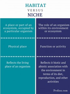 Difference Between Habitat and Niche