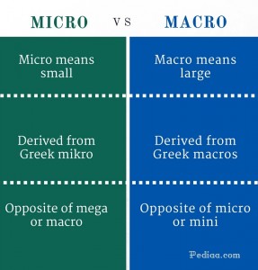 Difference Between Micro and Macro | Meaning, Usage, Examples
