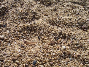 Difference Between Course and Coarse