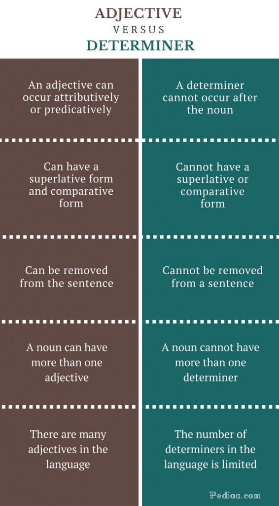 Difference Between Adjective and Determiner | Learn English Grammar ...