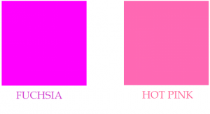 Difference Between Fuchsia and Hot Pink