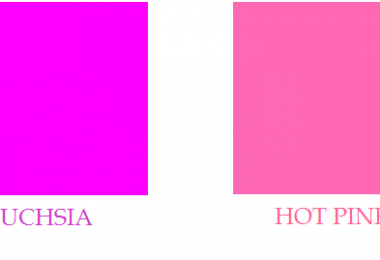 Difference Between Fuchsia and Hot Pink