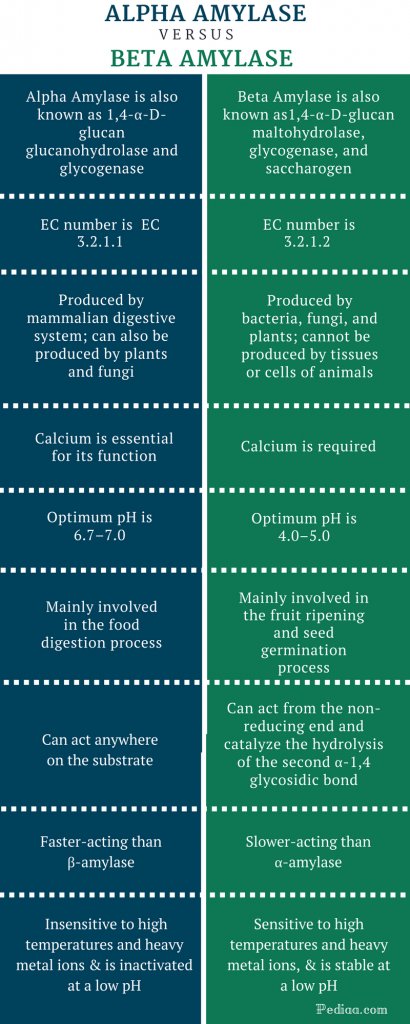 Difference Between Alpha and Beta Amylase | Comparison of physical and ...