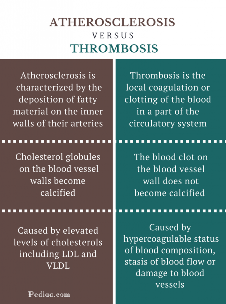 Difference Between Atherosclerosis and Thrombosis | Causes, Symptoms ...
