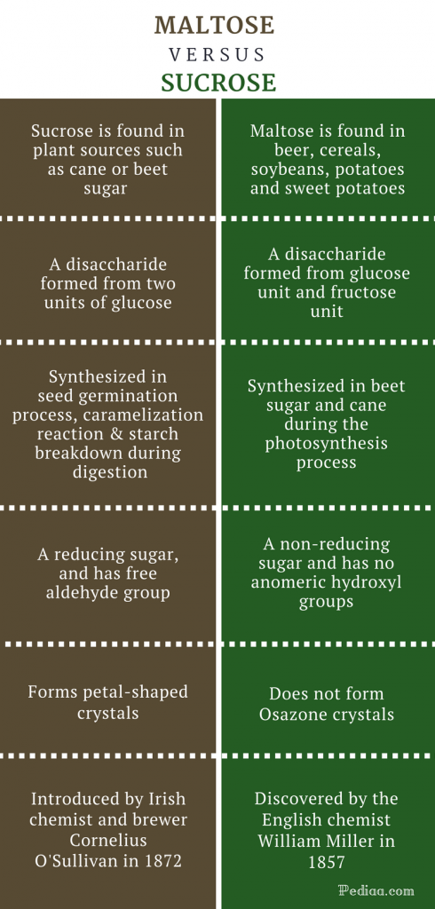 Difference Between Maltose and Sucrose | Definition, Structure ...