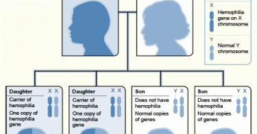 Hereditary Meaning