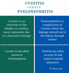 Difference Between Cystitis and Pyelonephritis | Signs and Symptoms ...