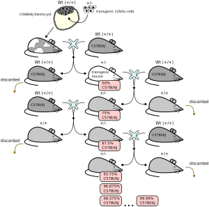 Difference Between Test Cross and Backcross | Definition, Function, Process