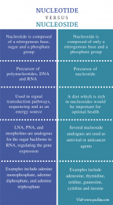 Difference Between Nucleotide and Nucleoside | Structure ...