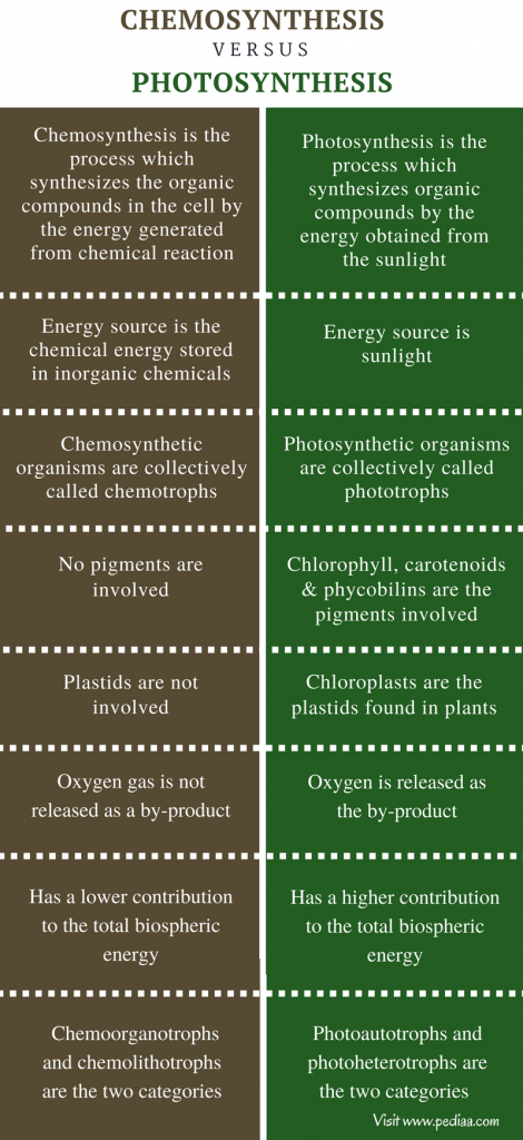 Difference Between Chemosynthesis and Photosynthesis - Pediaa.Com