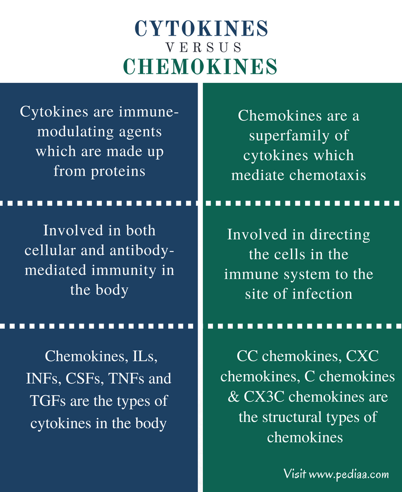Difference Between Cytokines and Chemokines | Structure, Types, Function