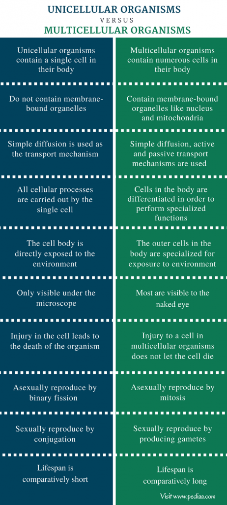 Difference Between Unicellular and Multicellular Organisms | Definition ...