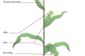 Pediaa.Com - Page 453 of 683 - Know about Anything