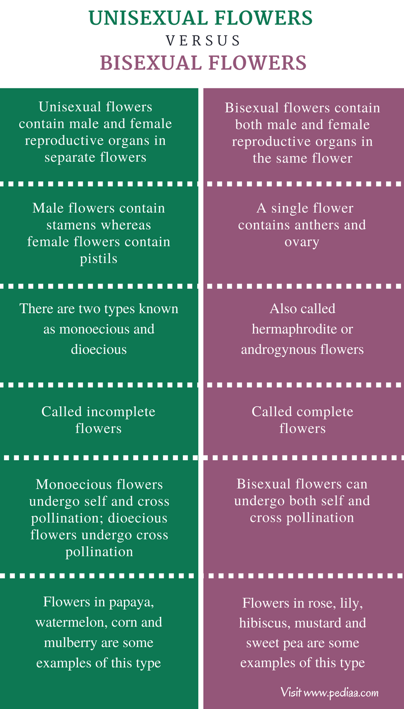 Difference Between Unisexual And Bisexual Flowers Definition Difference Between Unisexual And Bisexual Flowers Definition