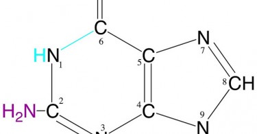 Pediaa.Com - Page 447 of 679 - Know about Anything