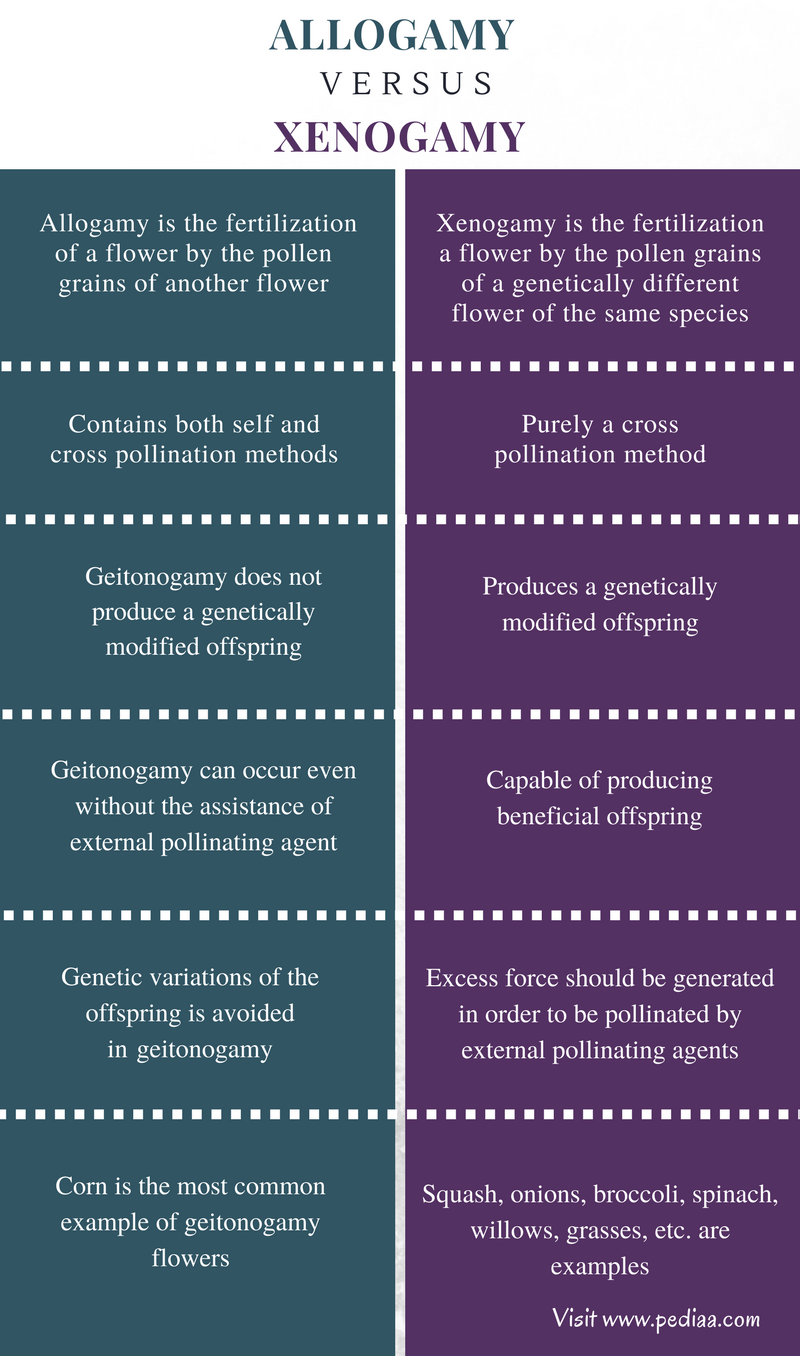 Difference Between Allogamy and Xenogamy | Definition, Characteristics ...