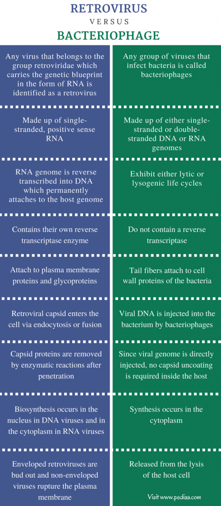 Difference Between Retrovirus and Bacteriophage | Definition ...
