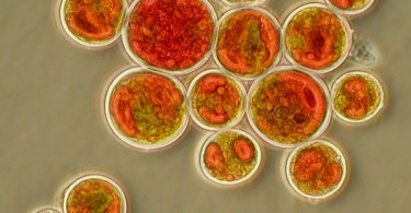 Pediaa.Com - Page 455 of 689 - Know about Anything