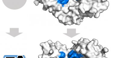 Pediaa.Com - Page 452 of 686 - Know about Anything