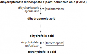 Difference Between Bactericidal and Bacteriostatic | Definition, Types ...