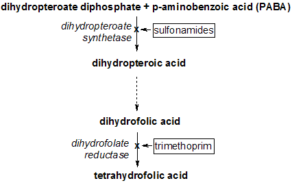 Difference Between Bactericidal and Bacteriostatic | Definition, Types ...